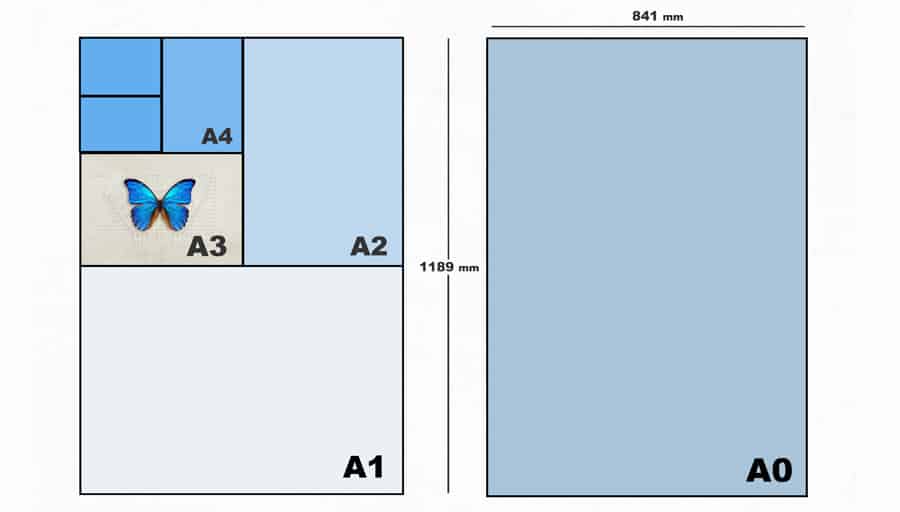 A Complete Guide To A3 Poster Printing For Students Businesses